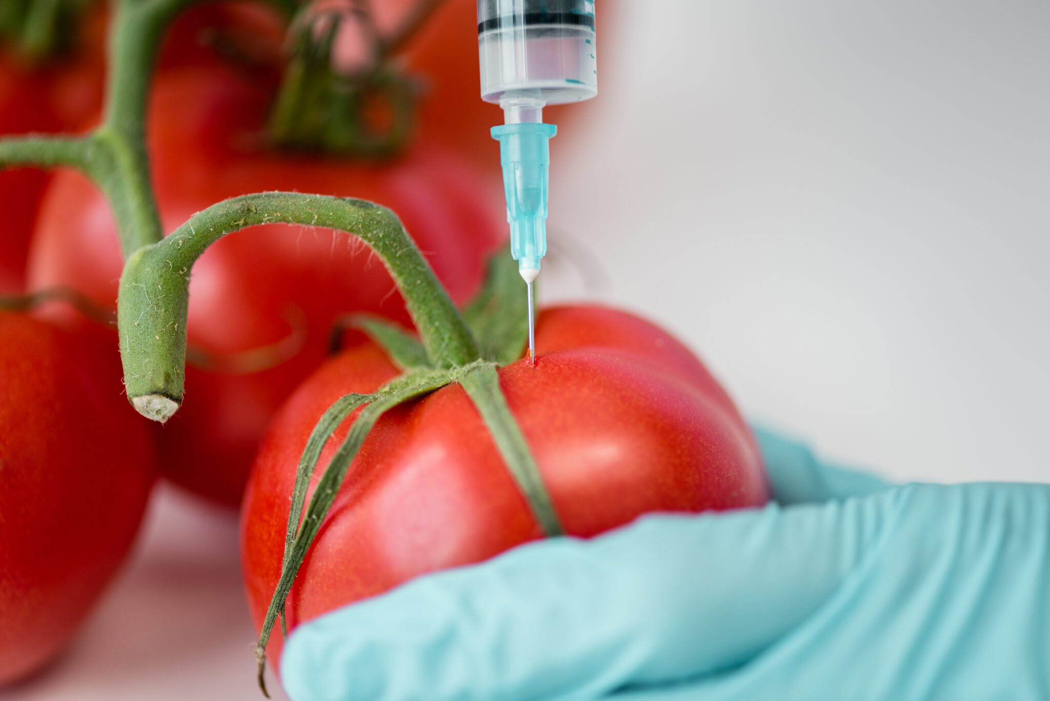 The Untold Truth Behind Gmos Wyenot